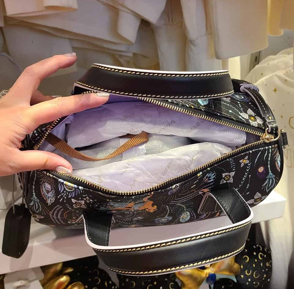 Aladdin 30th Anniversary by Disney Dooney & Bourke - Disney Dooney and Bourke Guide