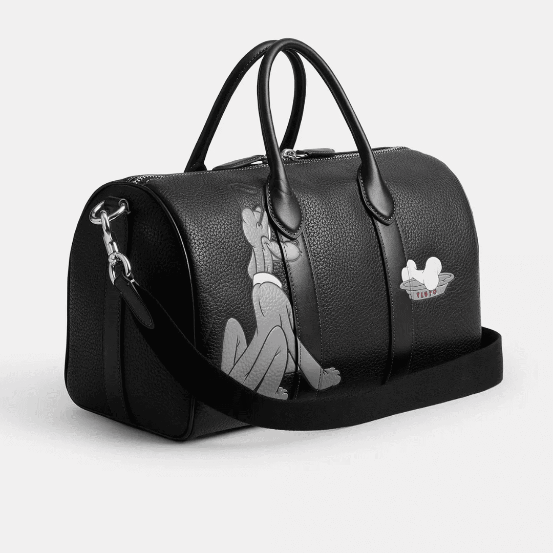 Disney x COACH 2025 Collection - Disney Dooney and Bourke Guide