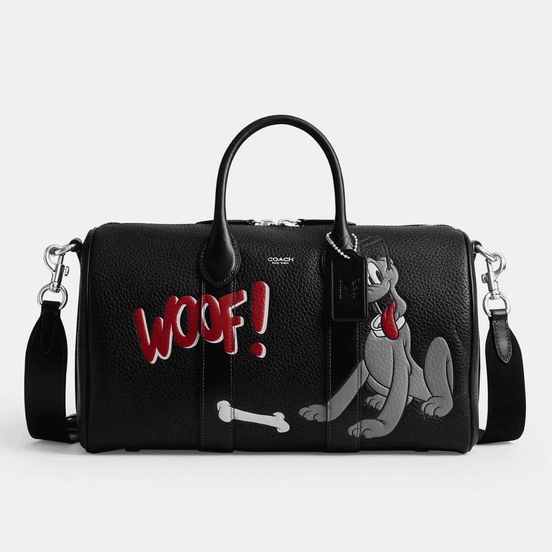 Disney x COACH 2025 Collection - Disney Dooney and Bourke Guide
