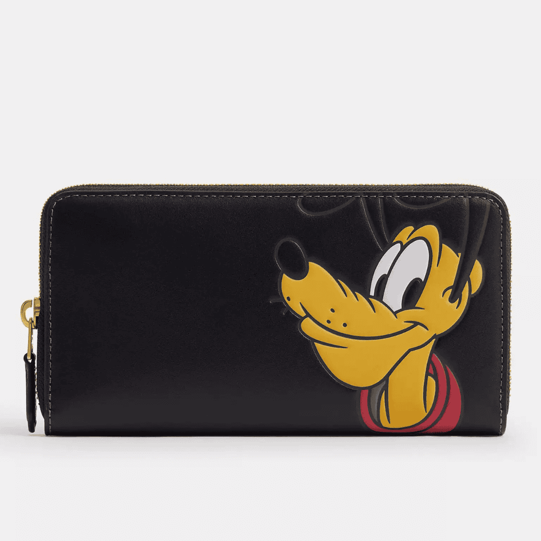 Disney x COACH 2025 Collection - Disney Dooney and Bourke Guide