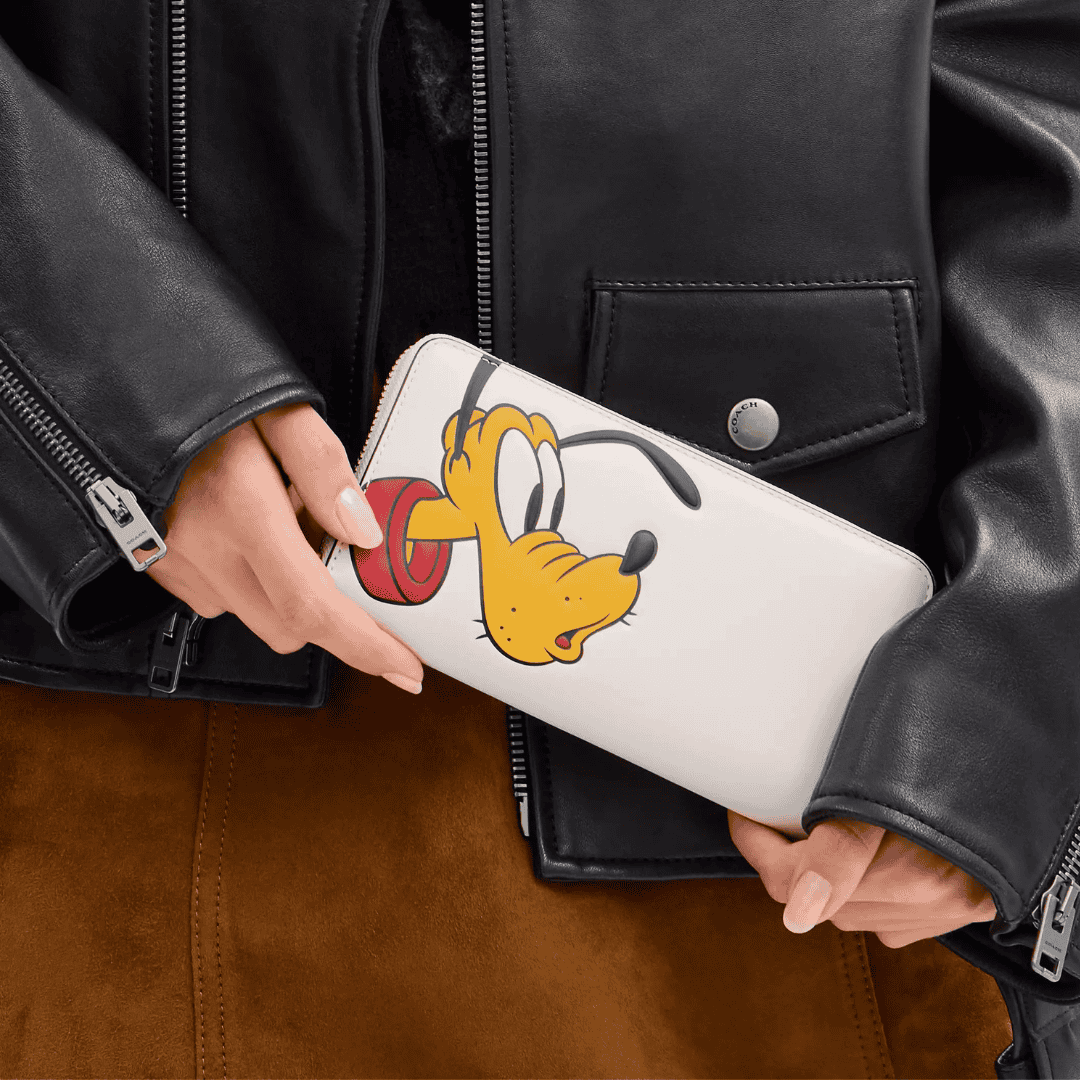 Disney x COACH 2025 Collection - Disney Dooney and Bourke Guide