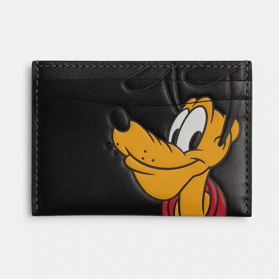 Disney x COACH 2025 Collection - Disney Dooney and Bourke Guide